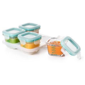 Nursing/Postpartum Tuesday: Glass Baby Food Storage Blocks - CorporetteMoms